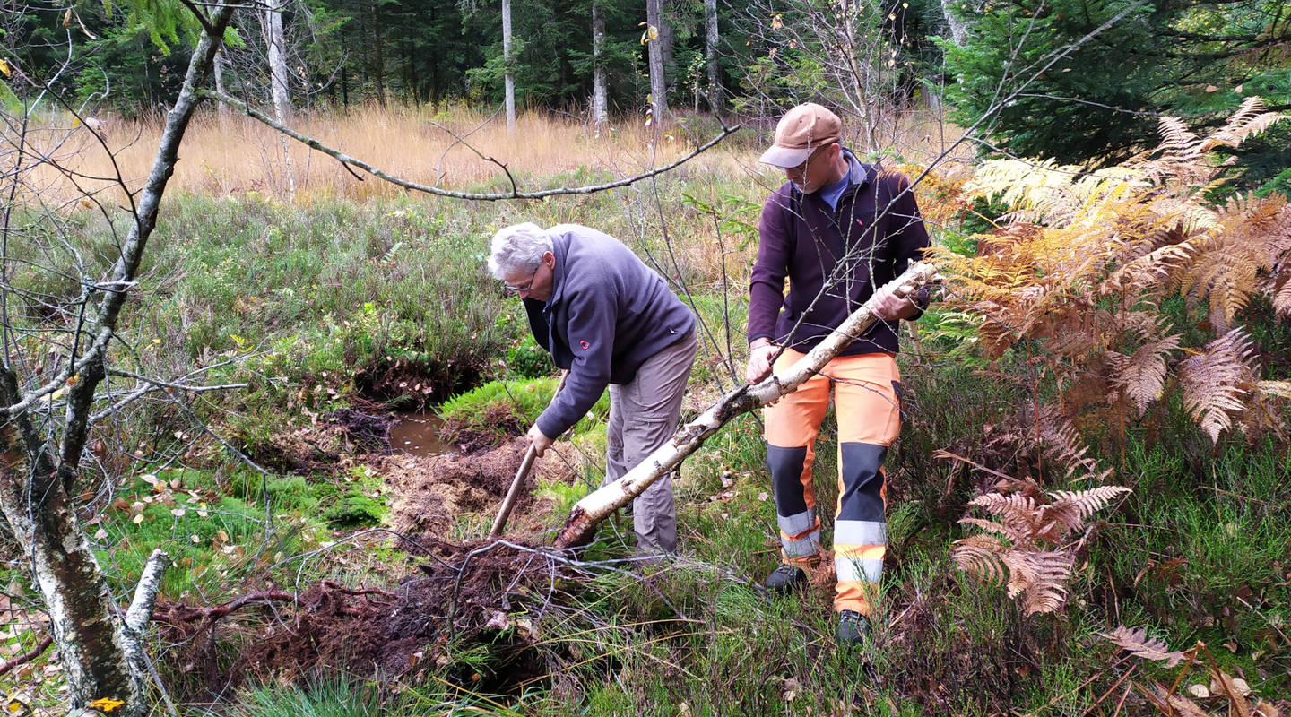 Freiwilliges Engagement für Pro Natura Schwyz | Pro Natura Schwyz