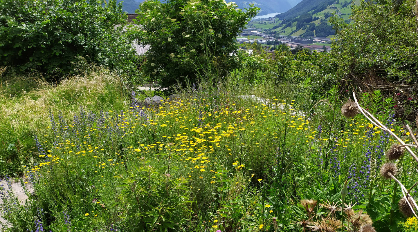 Naturgarten-Zertifizierung | Pro Natura Schwyz